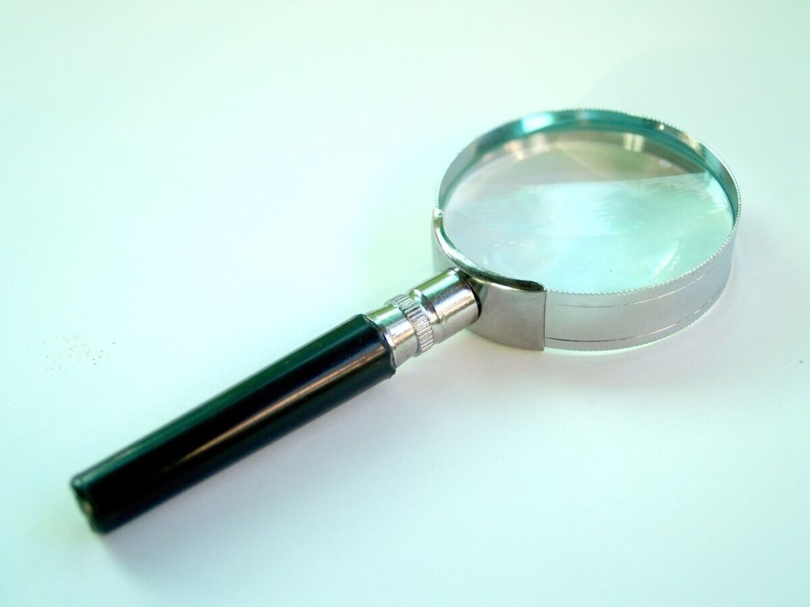 Understanding the Role of a Cedent in Insurance Contracts