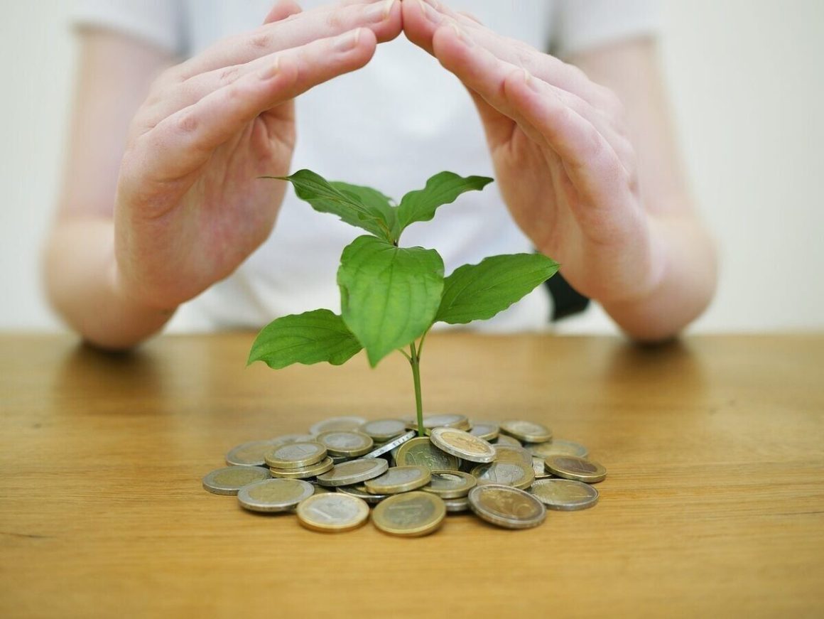 Understanding & Recording Low-Value Fixed Assets in Accounting